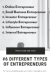 The 6 Types of Entrepreneurs: Which One Are You? - StartupBros